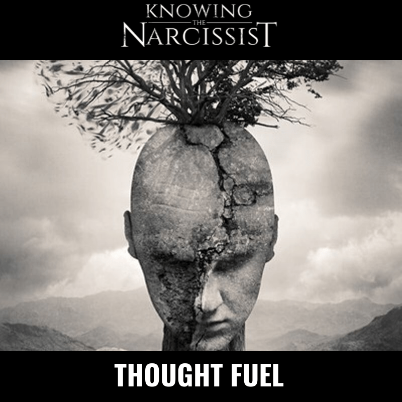 Knowing the Narcissist : Thought Fuel - HG Tudor - Knowing The ...