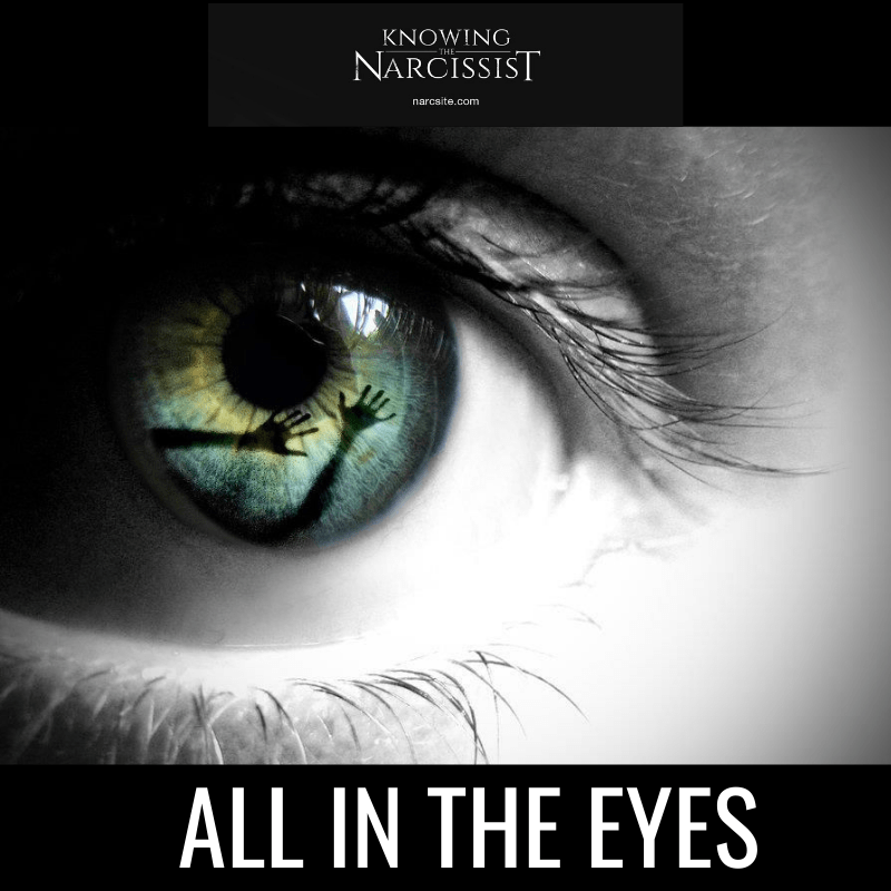 Knowing the Narcissist : All In The Eyes - HG Tudor - Knowing The ...