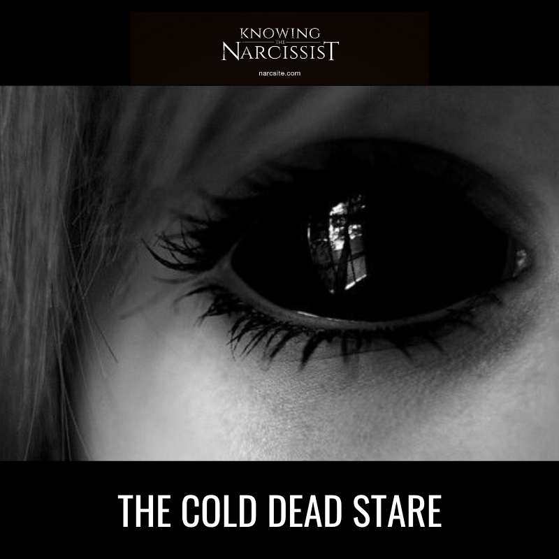 Knowing the Narcissist : The Cold Dead Stare - HG Tudor - Knowing The ...
