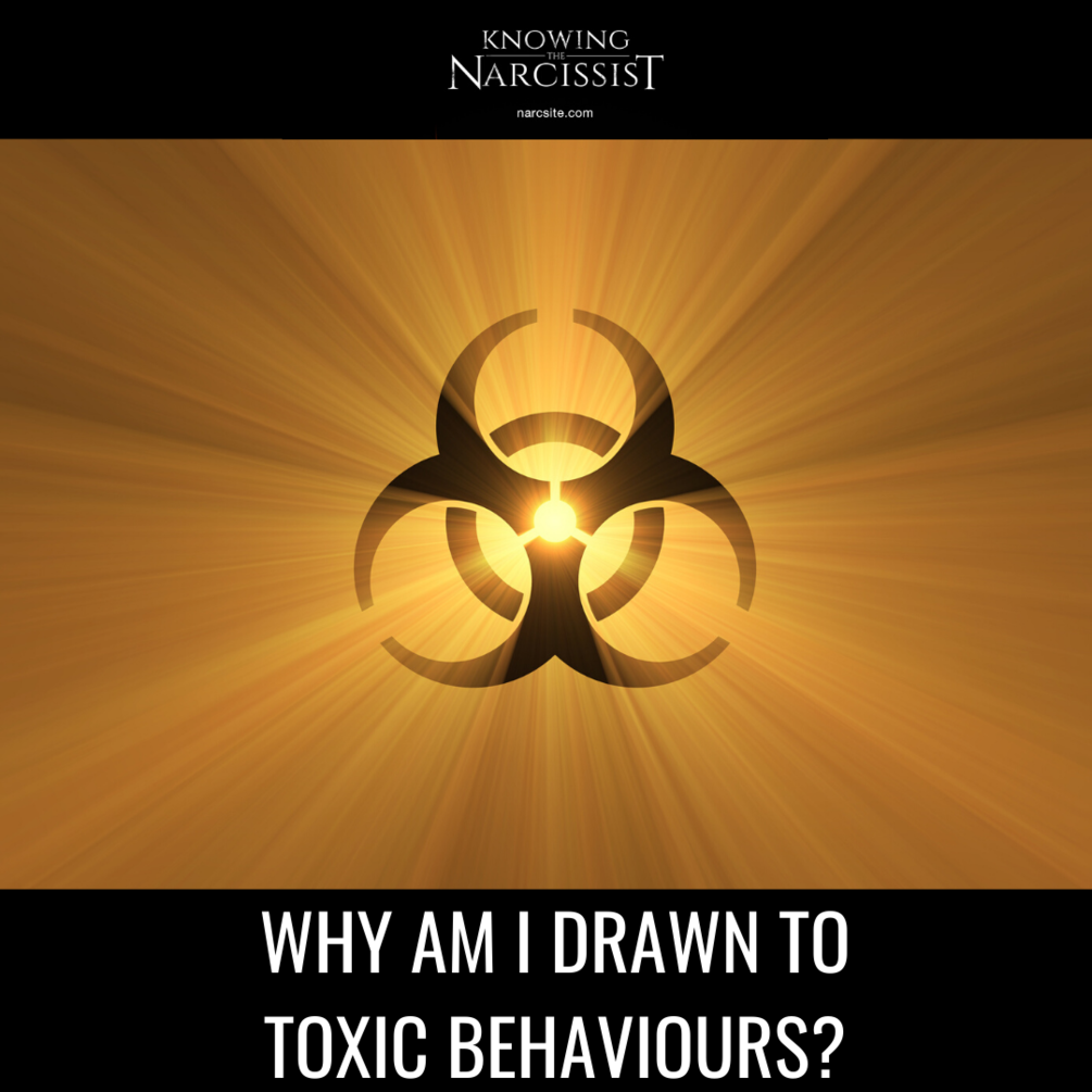 Why Am I Drawn To Toxic Behaviours? - HG Tudor - Knowing The Narcissist ...